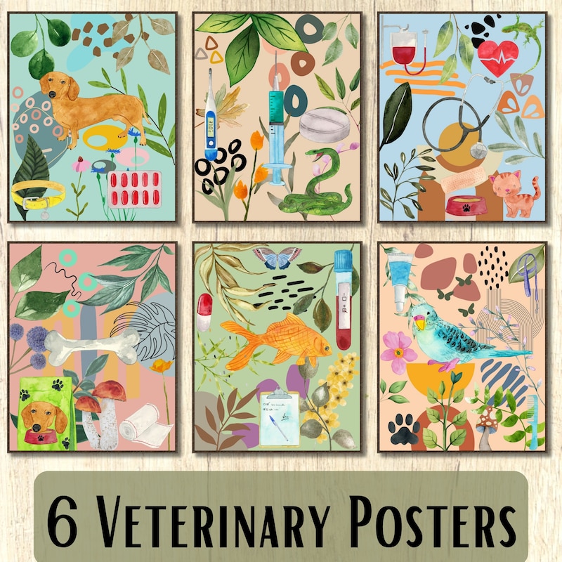 Veterinary Art - Etsy