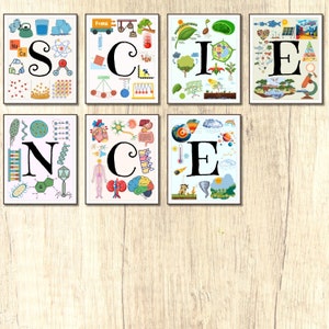 Science Classroom Posters Science Wall Prints Chemistry Biology Physics ...