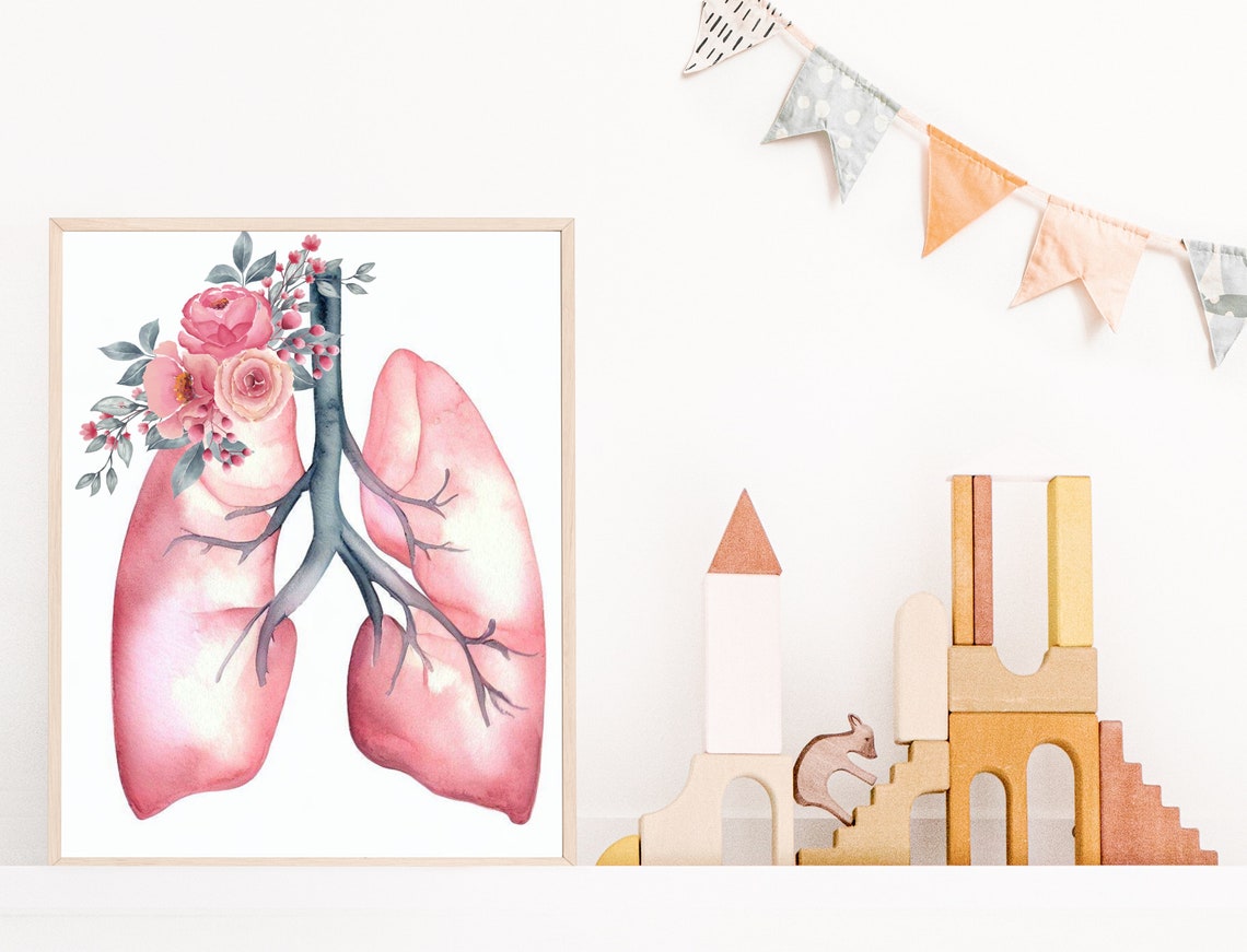Science CLASSROOM Decor Wall Decor Anatomical Art Poster - Etsy