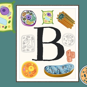 Biology Class Gallery Wall, Classroom Decor, High School Middle School ...