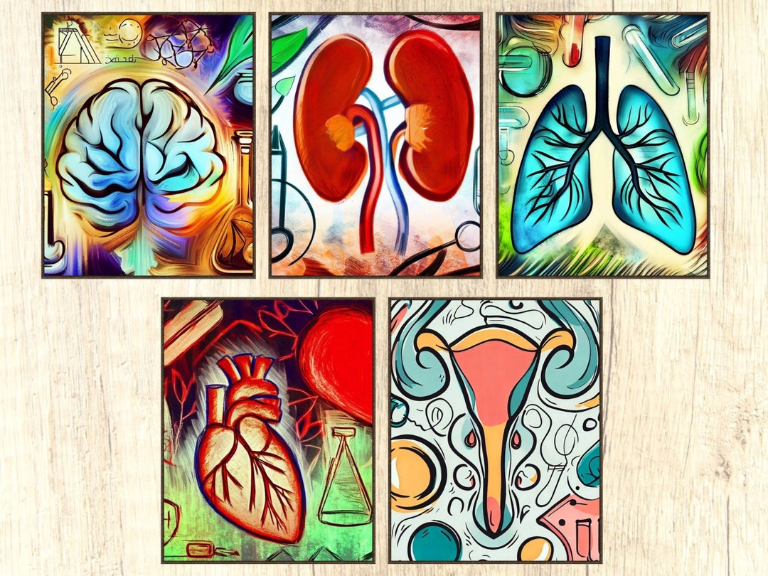 Science Gallery Wall Art Set, Brain, Lungs, Heart, Anatomical Wall Art ...