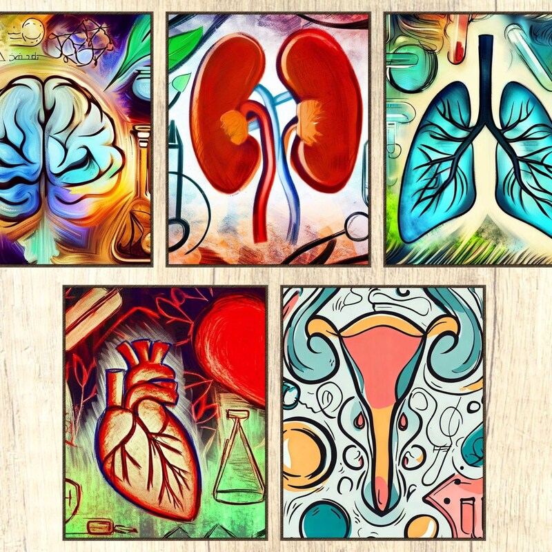 Anatomy Home Decor - Etsy