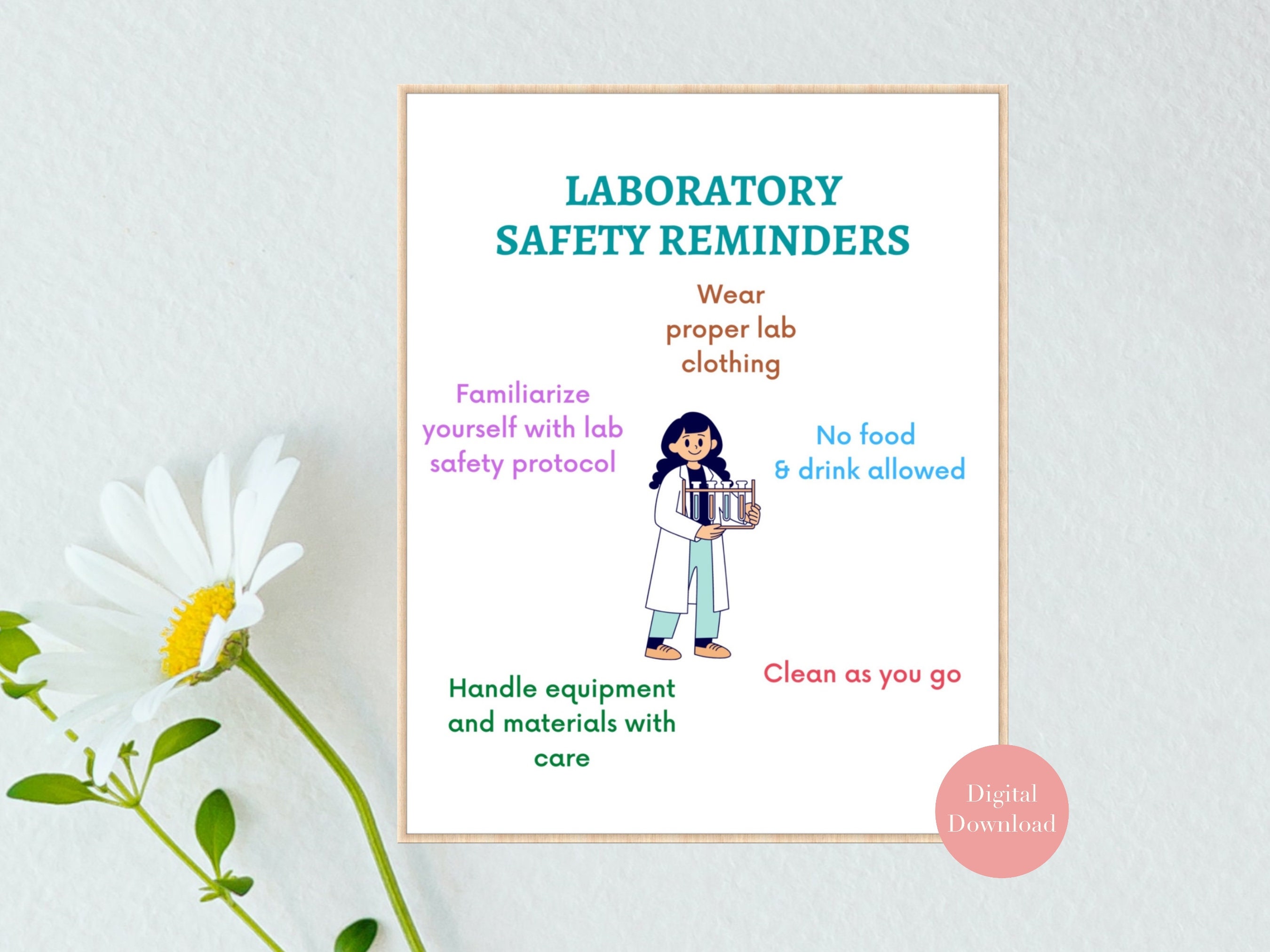 Lab Safety Poster Science Teacher Gift Digital Download - Etsy