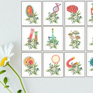 12 Science Class Gallery Wall, Classroom Decor, High School Middle ...