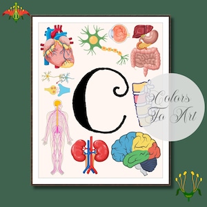 Science Classroom Posters Science Wall Prints Chemistry Biology Physics ...