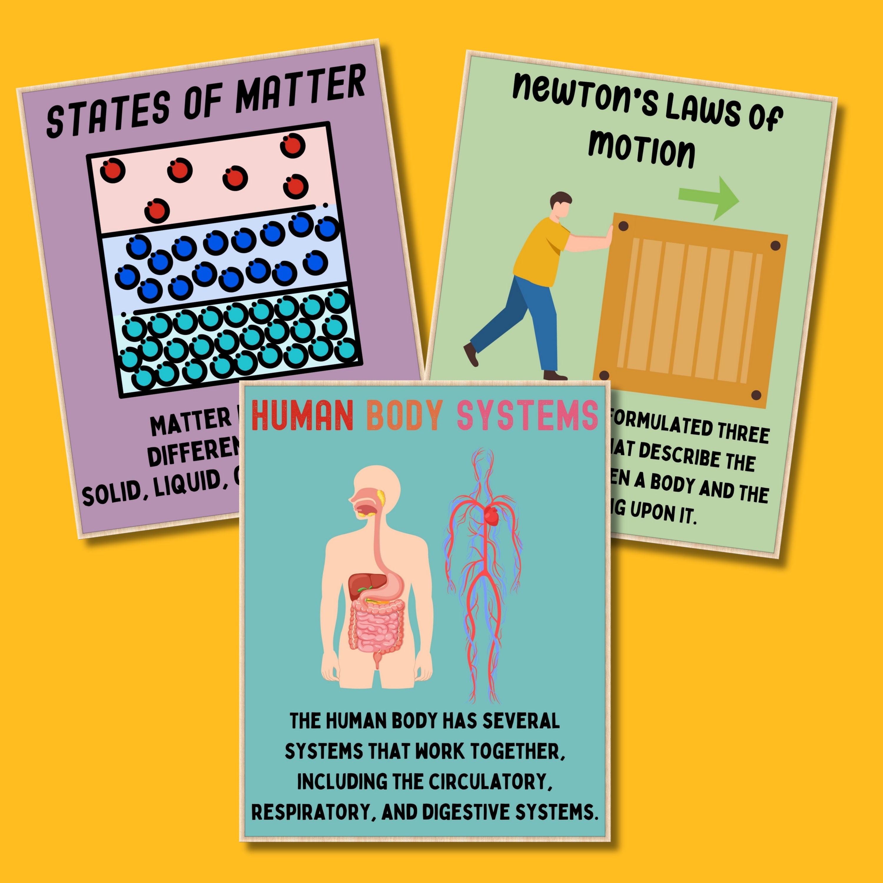 Science Class Posters Set of 12 Middle School Science Posters High ...