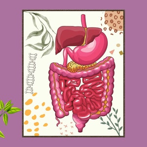 Science Wall Print, Human Anatomy Paintings, Classroom Arts, High ...