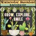 Back to School Bulletin Board Watercolor Classroom Decor Succulent ...