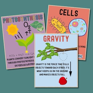 Science Class Posters Set of 12 Middle School Science Posters High ...