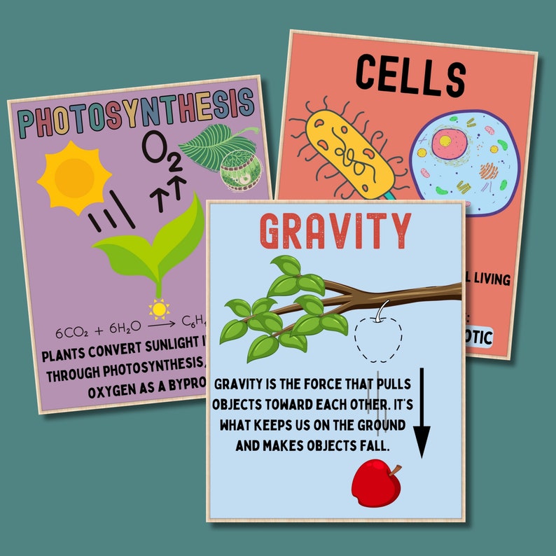Science Class Posters Set of 12 Middle School Science Posters High ...