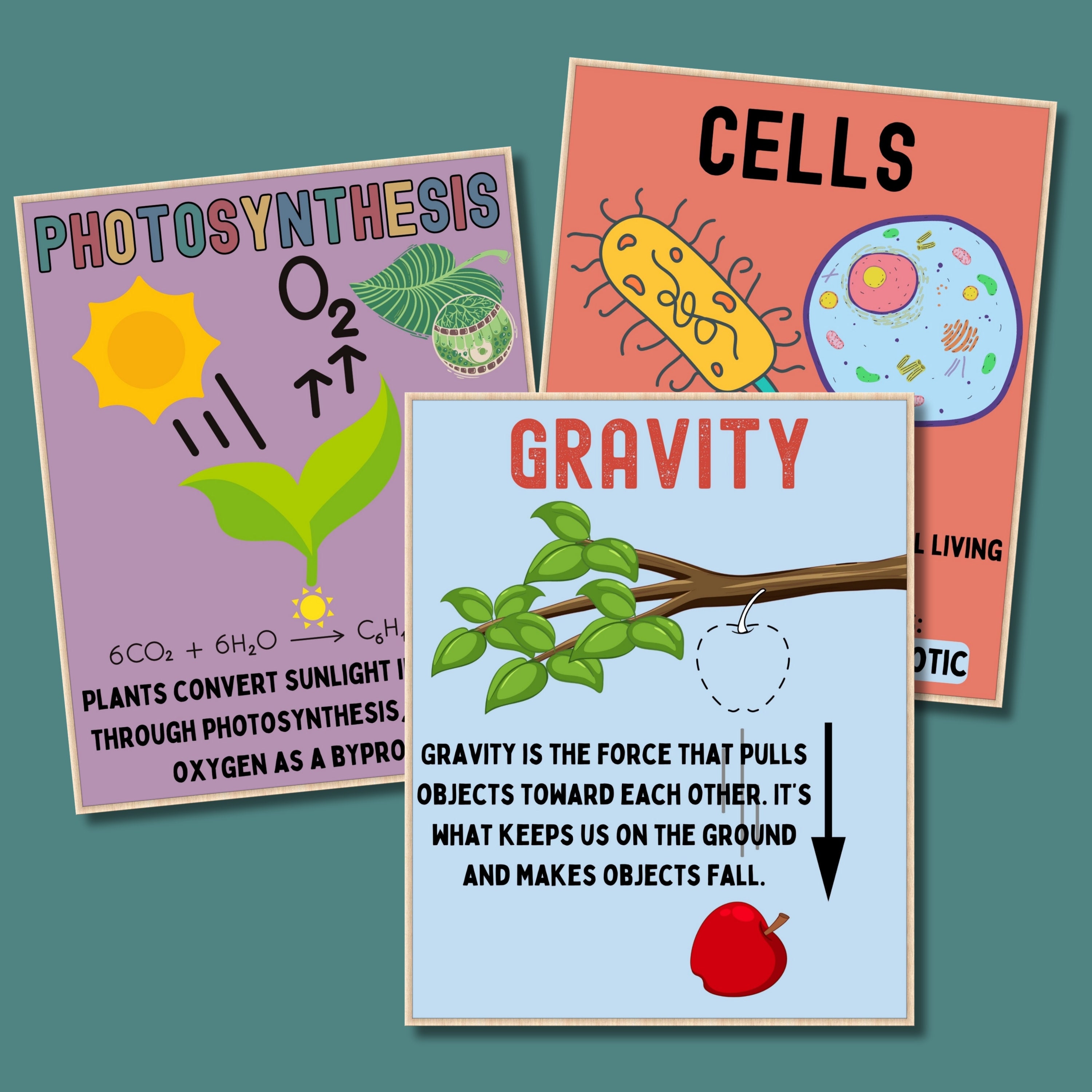 Science Class Posters Set of 12 Middle School Science Posters High ...