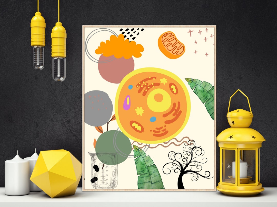 Cell Biology Poster Stem Cell Nurse Wall Art Nurse Gift - Etsy