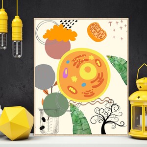 Cell Biology Poster Stem Cell Nurse Wall Art Nurse Gift - Etsy