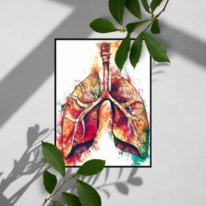 Lungs Anatomy Print, Science Poster, Respiratory Therapy Gift ...
