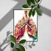 Lungs Anatomy Print, Science Poster, Respiratory Therapy Gift ...
