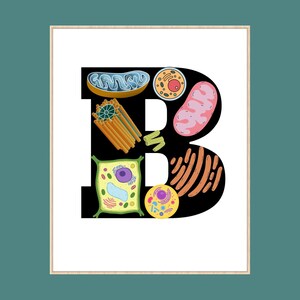 Biology Posters, Classroom Decor, High School Middle School, Science ...