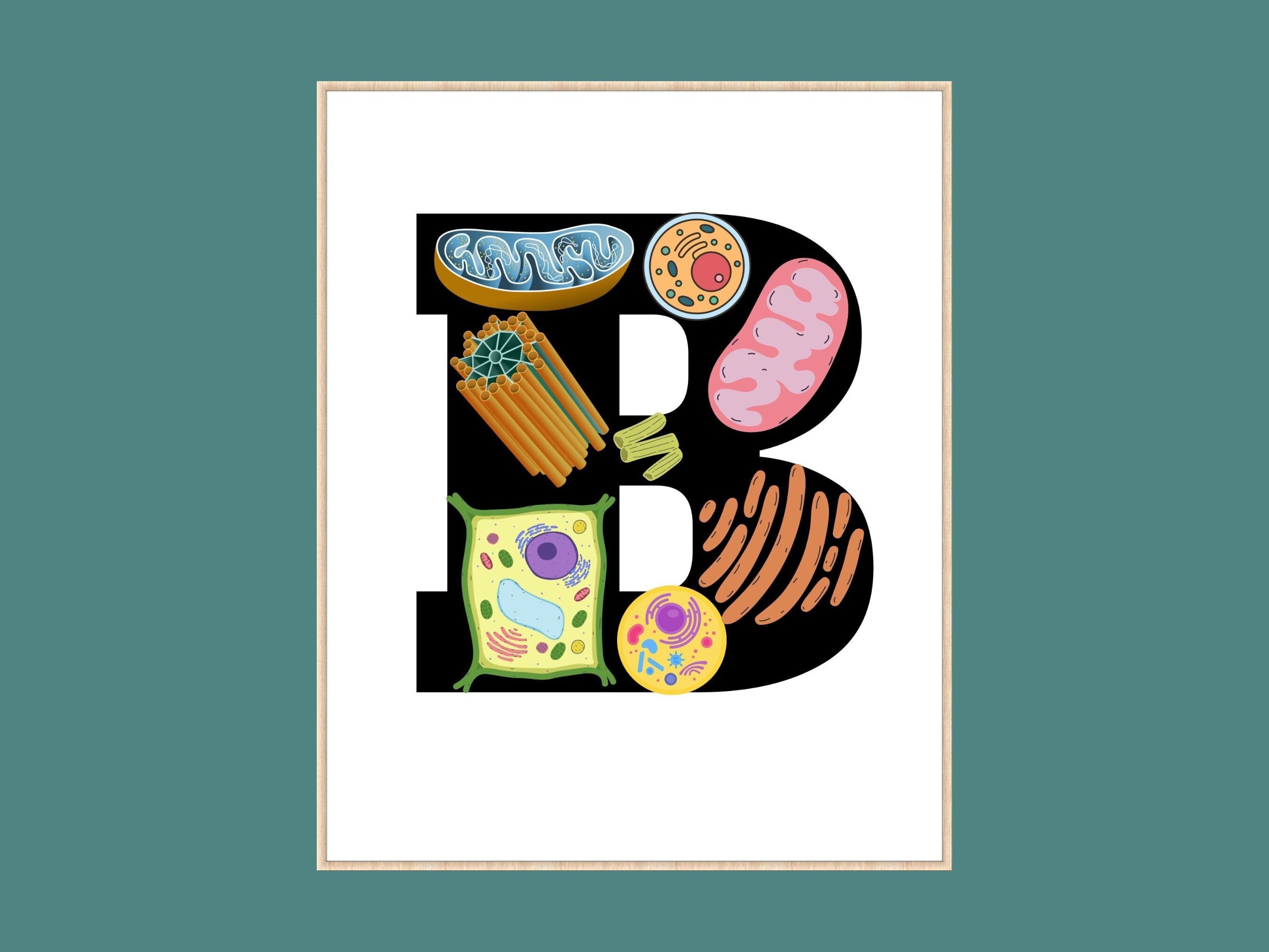 Biology Posters, Classroom Decor, High School Middle School, Science ...