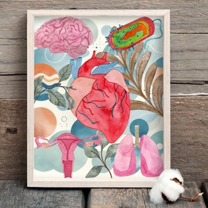 Biology Gallery Wall Set, Classroom Decor, High School Middle School ...