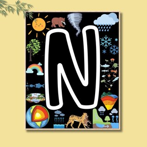 Science Decor Science Class Gallery Wall Science Art High School Middle ...