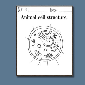 5 Set, Plant Cell Classroom Science Poster Art Printable, Science ...