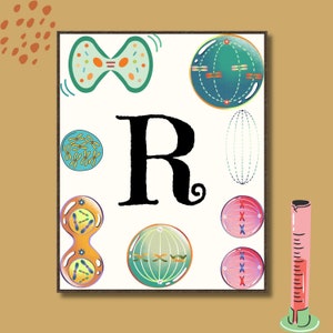 Science Posters, Classroom Decoration, Science Teacher Gift, Biology ...