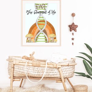 Science Gallery Wall Set, Classroom Decor, High School Middle School ...