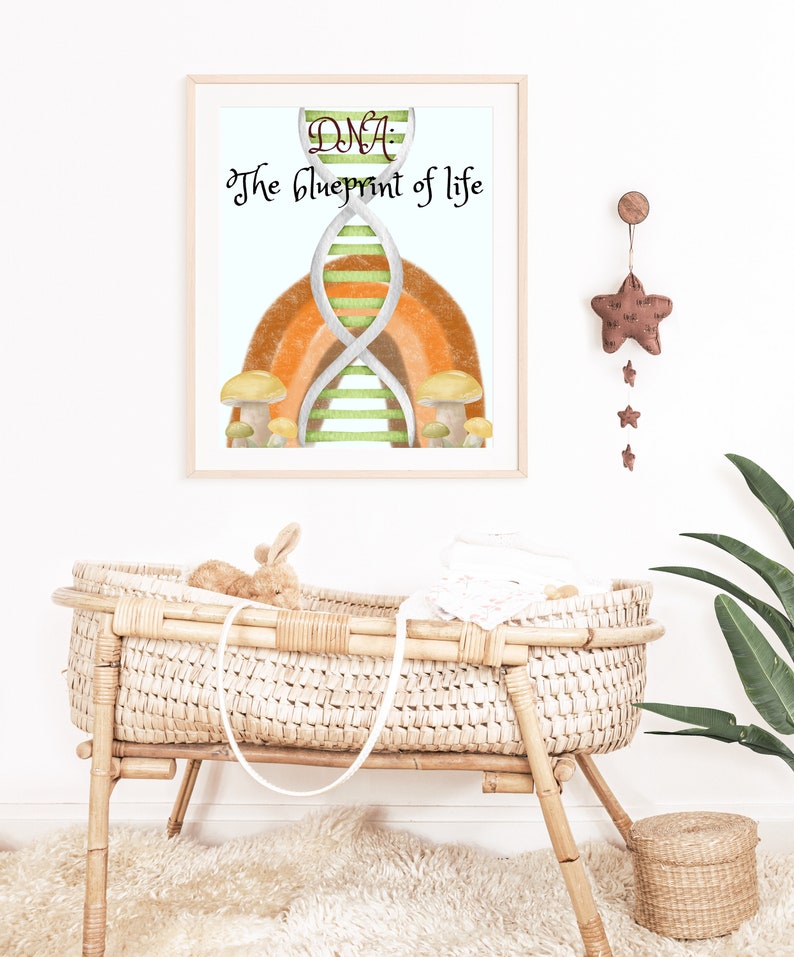 Science Gallery Wall Set Classroom Decor High School Middle - Etsy