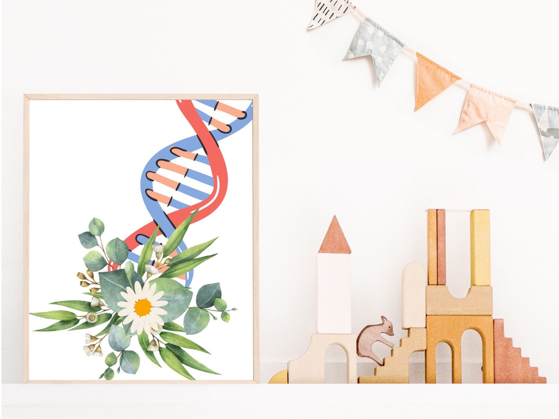 12 Science Class Gallery Wall Classroom Decor High School - Etsy