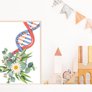 12 Science Class Gallery Wall, Classroom Decor, High School Middle ...