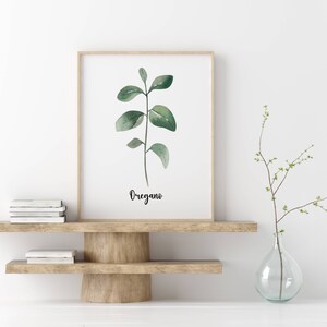 Herb Prints Kitchen Herbs Kitchen Wall Art Print Set of 6 Herb ...