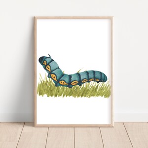 Life Cycle of a Butterfly Digital Download Caterpillar Butterfly Poster ...