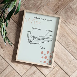 Human Anatomy Art Prints Science Posters Classroom Decor Orthopedist ...