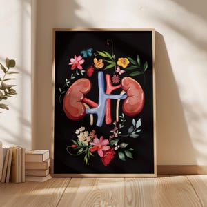 Human Anatomy Kidney Print Medical Student Gift Office Room Decor ...