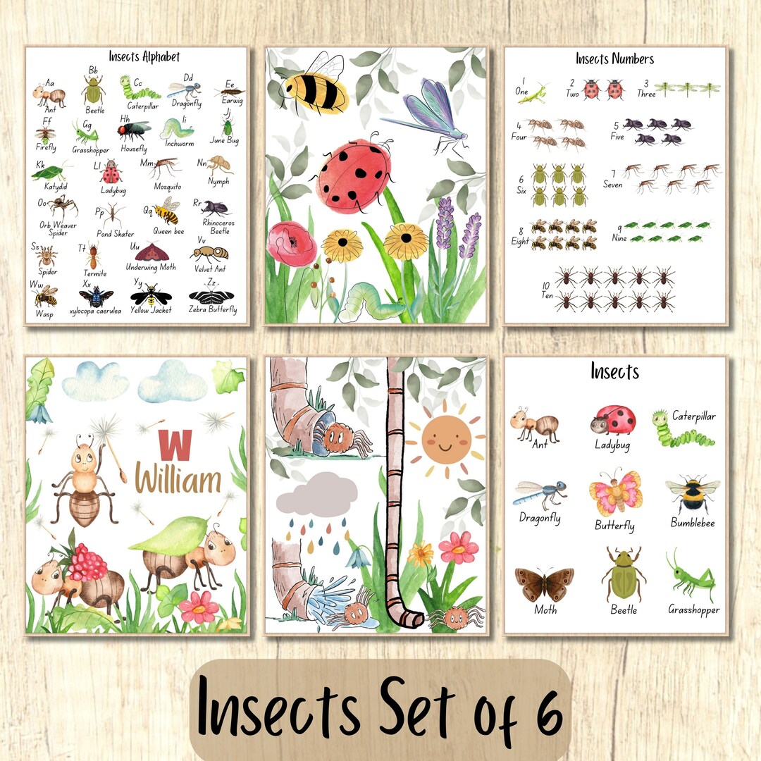 Insects Art Print Insects and Bugs Insects Artwork Insects Prints Bugs ...
