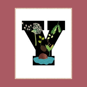 Biology Posters, Classroom Decor, High School Middle School, Science ...