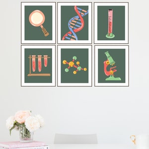 Science Class Gallery Wall, Classroom Decor, High School Middle School ...