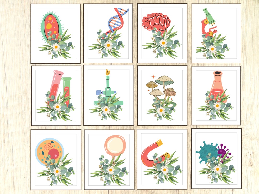 12 Science Class Gallery Wall, Classroom Decor, High School Middle ...