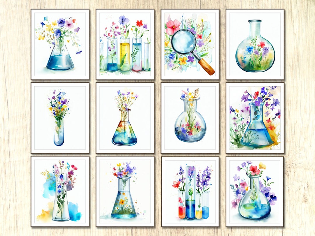 Science Art Gallery Art Set Women in Science Posters Classroom Decor ...