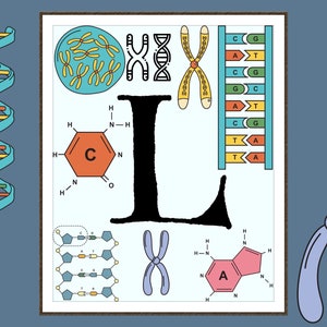 Biology Class Gallery Wall, Classroom Decor, High School Middle School ...