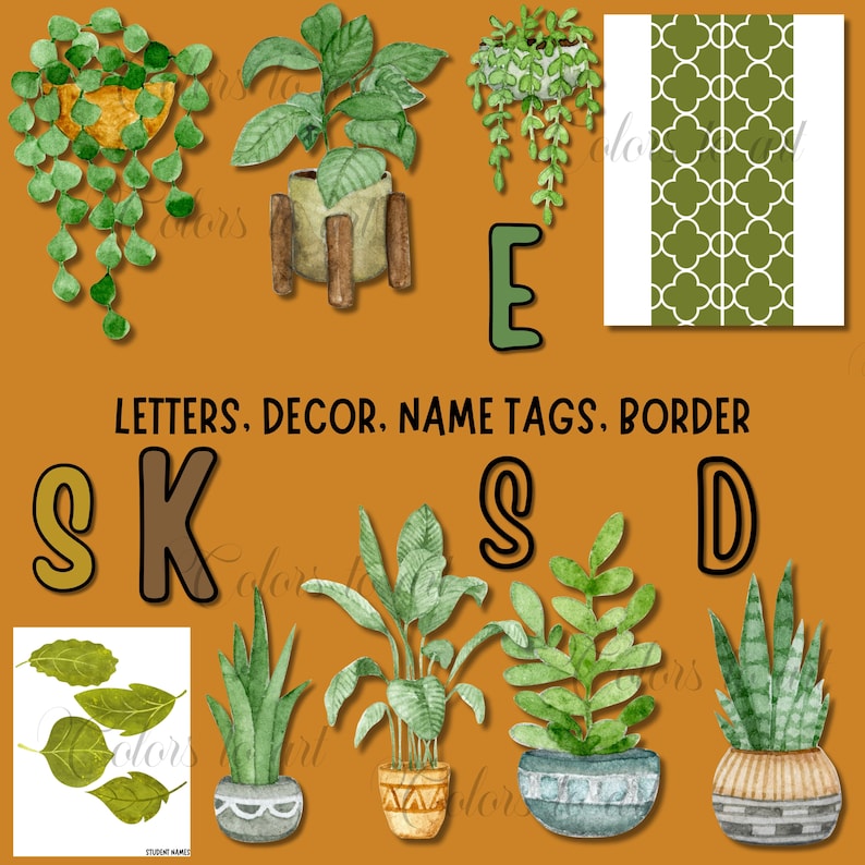 Plant Bulletin Board Kit Boho Neutral Plant Classroom Decor SPRING ...