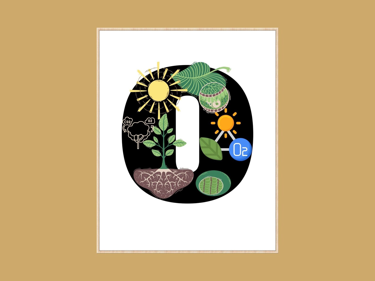 Biology Posters, Classroom Decor, High School Middle School, Science ...