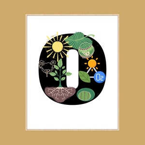 Biology Posters, Classroom Decor, High School Middle School, Science ...