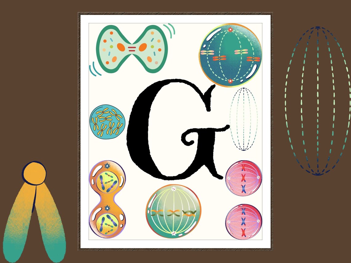 Biology Class Gallery Wall, Classroom Decor, High School Middle School ...
