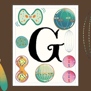 Biology Class Gallery Wall, Classroom Decor, High School Middle School ...