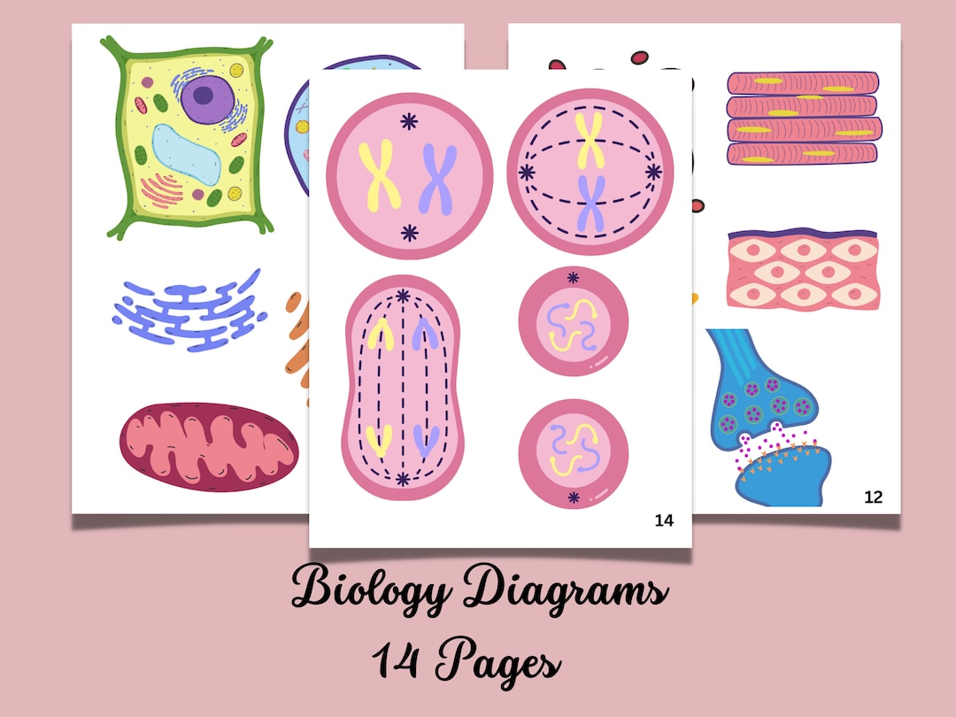 Biology Printable Diagrams, Note-taking, Planning, Studying,high School ...