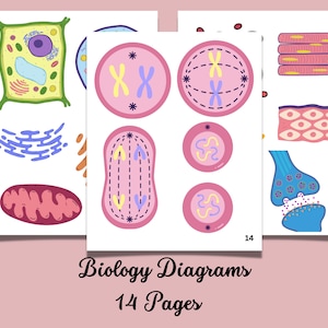 Biology Printable Diagrams, Note-taking, Planning, Studying,high School ...