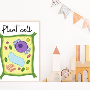Biology Wall Prints, Watercolor Prints, Science Prints, Classroom Wall ...