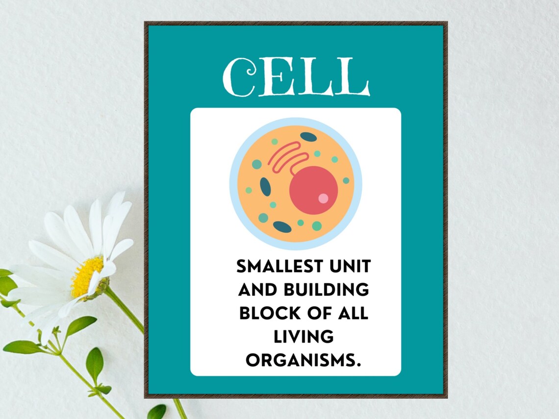 5 Set Plant Cell Classroom Science Poster Art Printable - Etsy