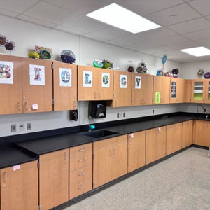 Biology Posters, Classroom Decor, High School Middle School, Science ...