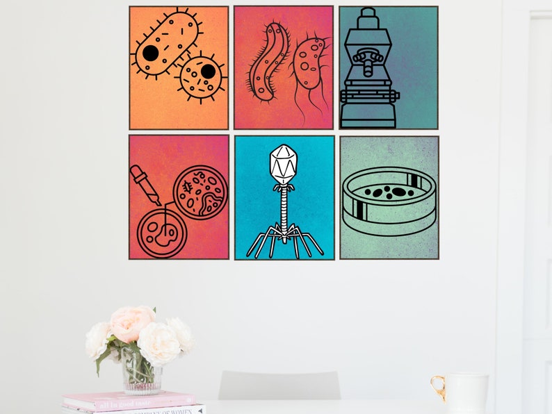 Microbiology Collection Bacteria Art Science Science Art - Etsy